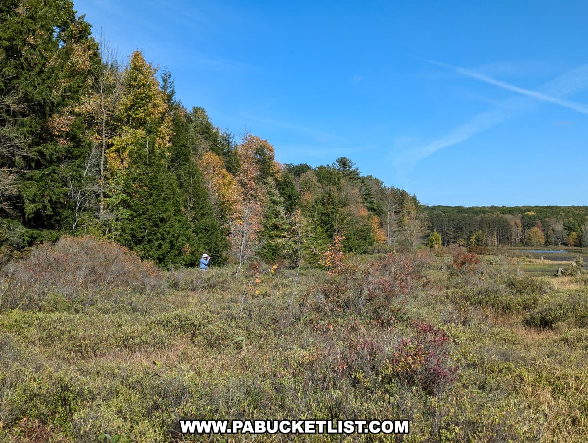 Centre County 2024 Fall Foliage Update - PA Bucket List