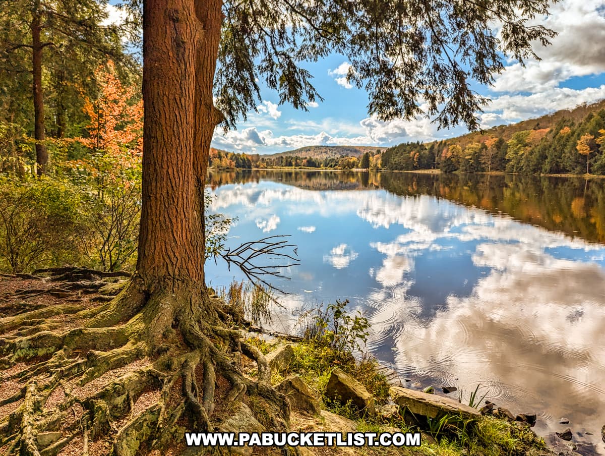 Exploring Chapman State Park in Warren County - PA Bucket List