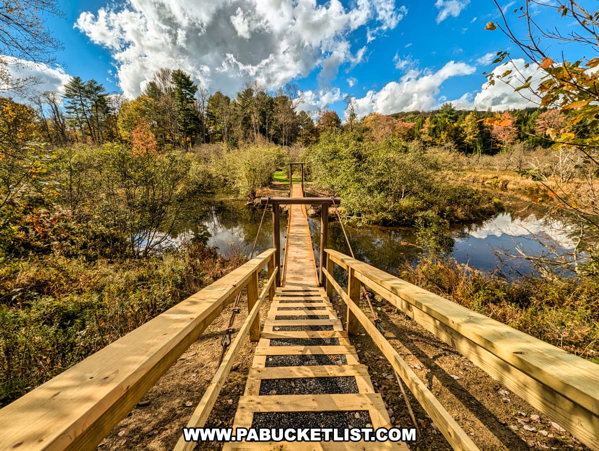 Exploring Chapman State Park in Warren County - PA Bucket List