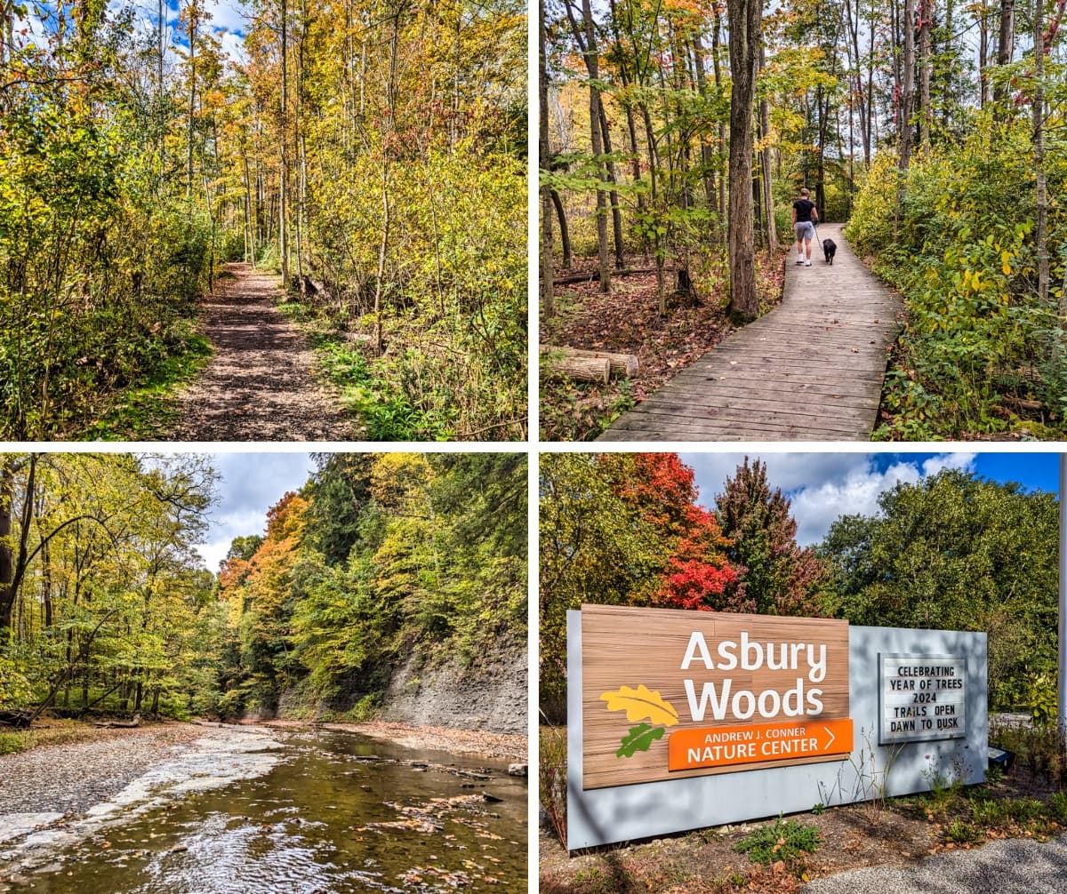Exploring Asbury Woods in Erie County - PA Bucket List