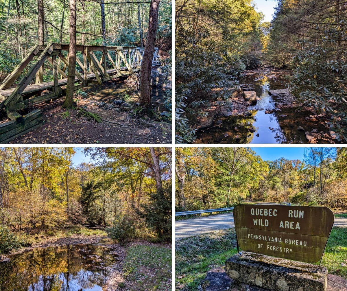 Hiking the Quebec Run Wild Area in Fayette County - PA Bucket List