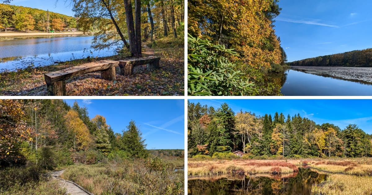 Centre County 2024 Fall Foliage Update - PA Bucket List