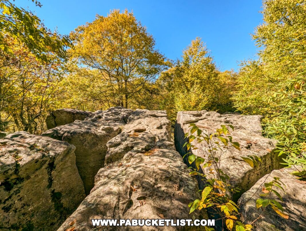 Laurel Highlands 2024 Fall Foliage Update - PA Bucket List