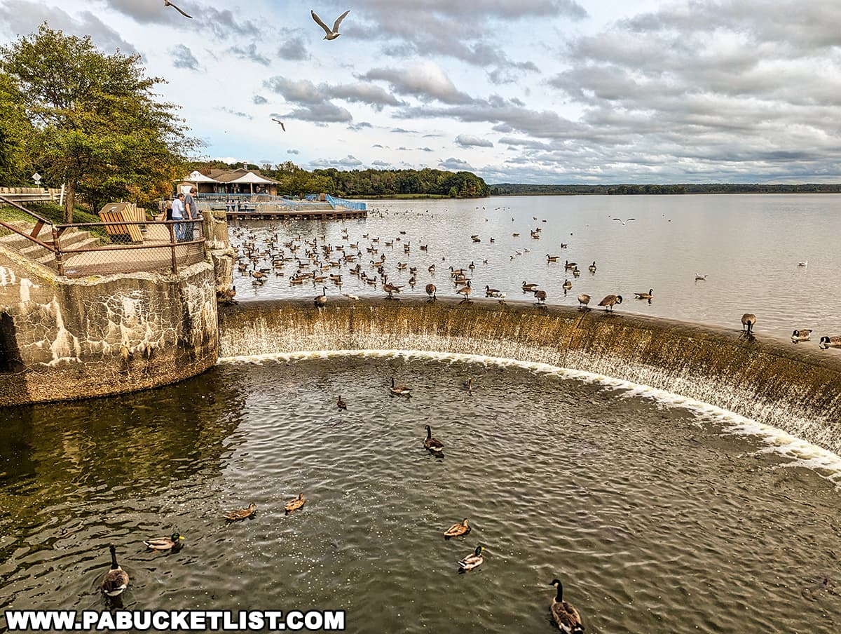Exploring the Linesville Spillway at Pymatuning State Park - PA Bucket List