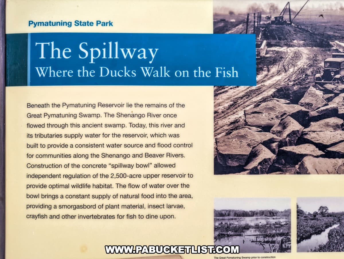 Exploring the Linesville Spillway at Pymatuning State Park - PA Bucket List