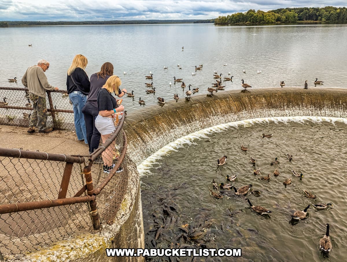 Exploring the Linesville Spillway at Pymatuning State Park - PA Bucket List
