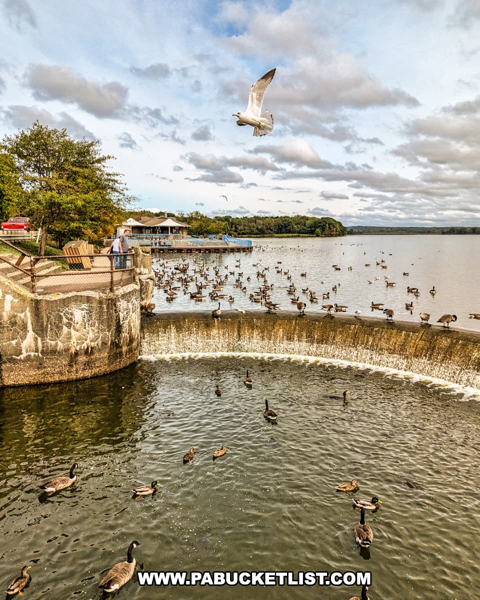 Exploring the Linesville Spillway at Pymatuning State Park - PA Bucket List