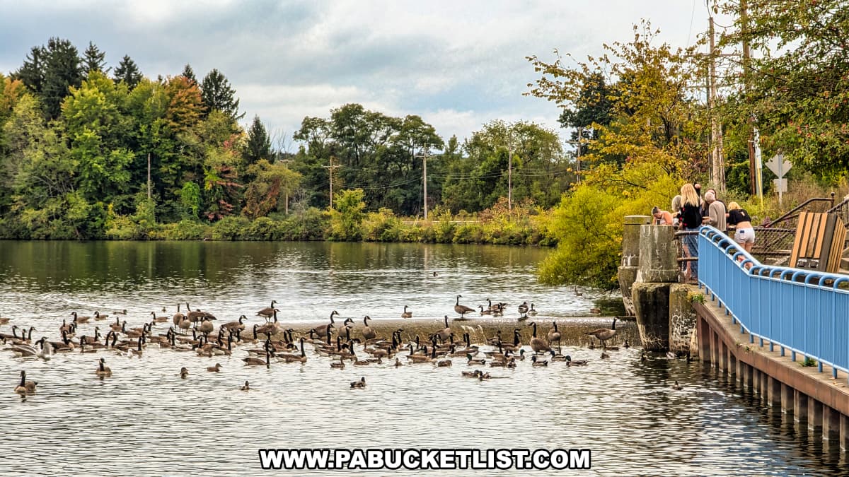 Exploring the Linesville Spillway at Pymatuning State Park - PA Bucket List