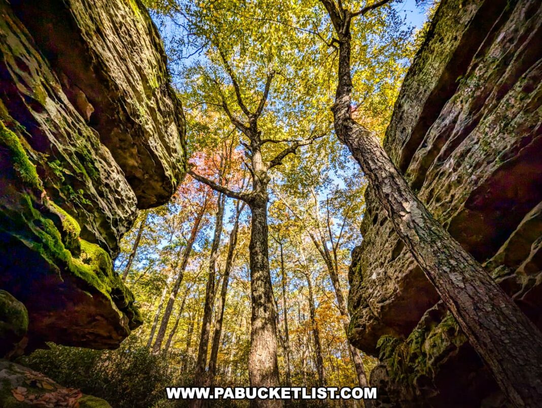 Exploring Panther Rocks in Clearfield County - PA Bucket List