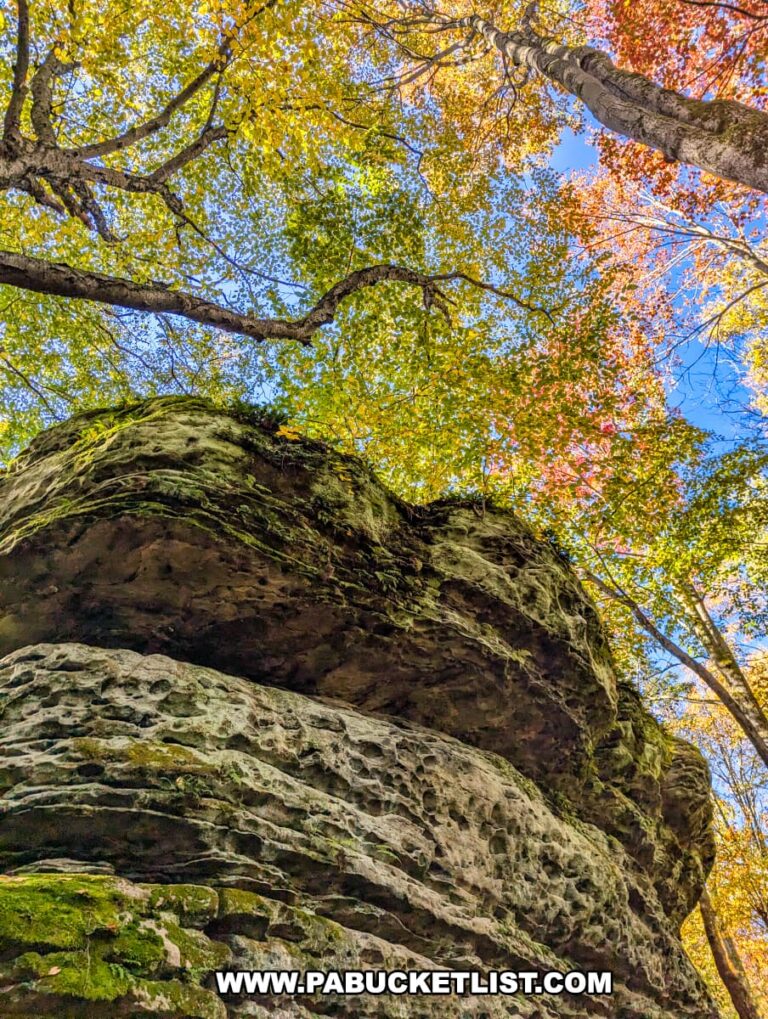 Exploring Panther Rocks in Clearfield County - PA Bucket List