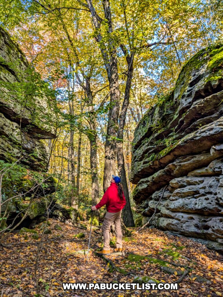 Exploring Panther Rocks in Clearfield County - PA Bucket List