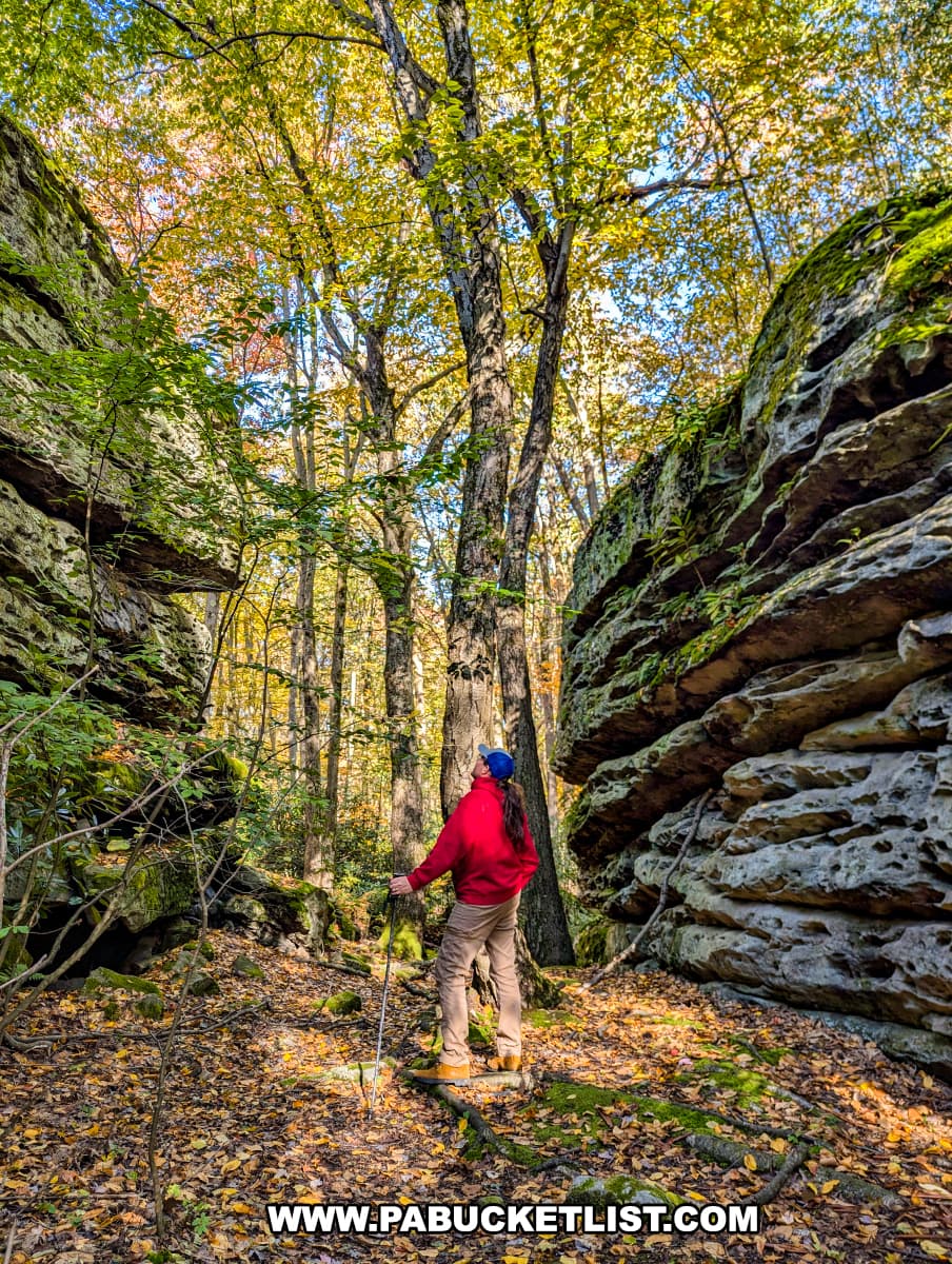 Exploring Panther Rocks in Clearfield County - PA Bucket List