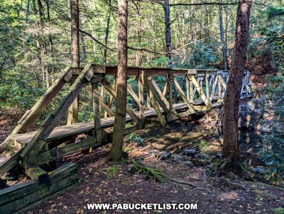 Hiking the Quebec Run Wild Area in Fayette County - PA Bucket List
