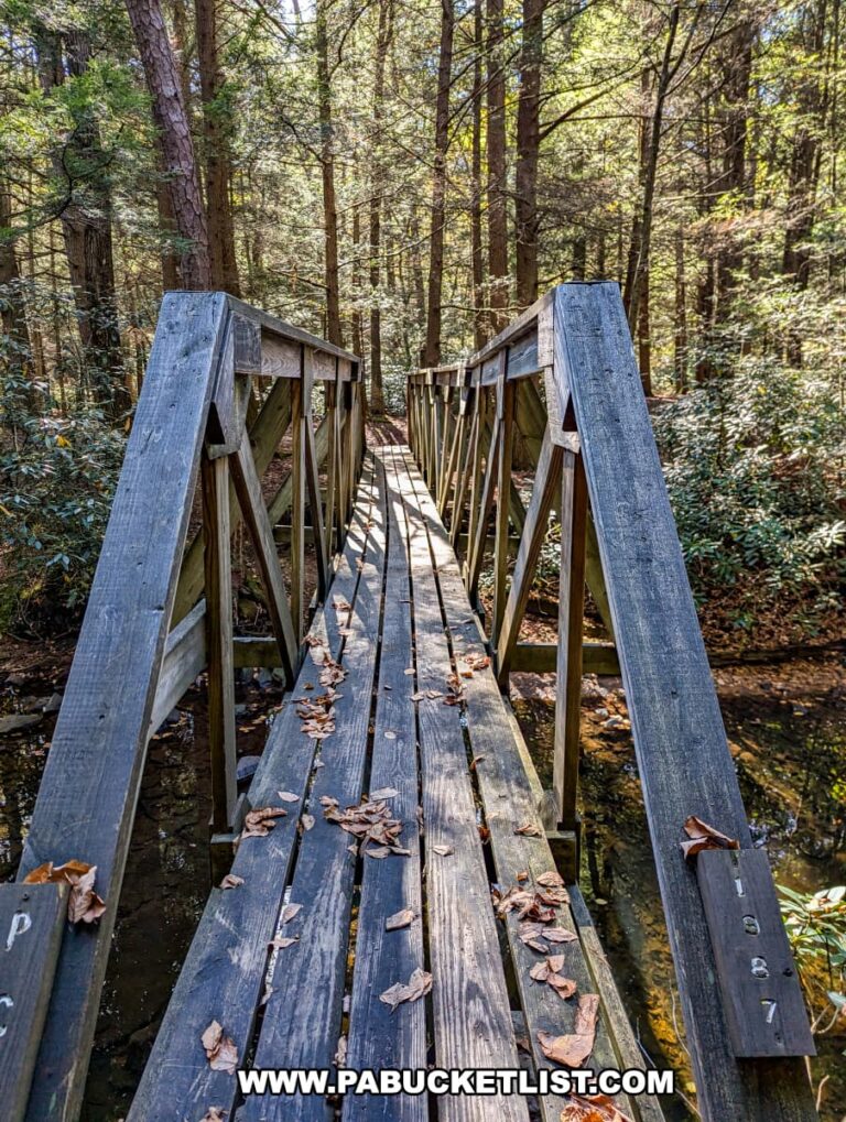 Hiking the Quebec Run Wild Area in Fayette County - PA Bucket List