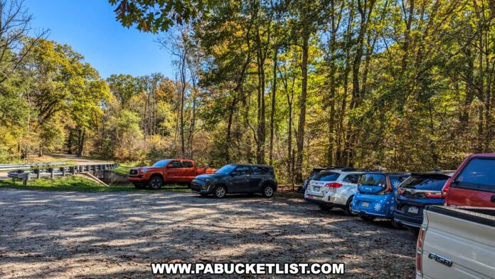 Hiking the Quebec Run Wild Area in Fayette County - PA Bucket List