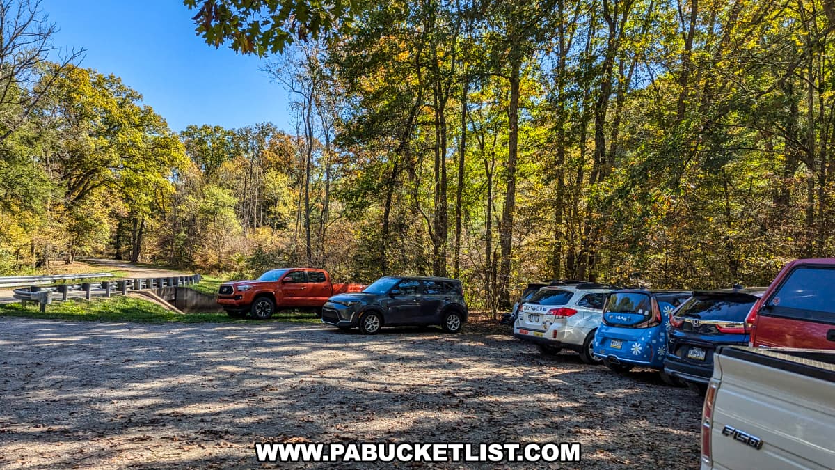 Hiking the Quebec Run Wild Area in Fayette County - PA Bucket List