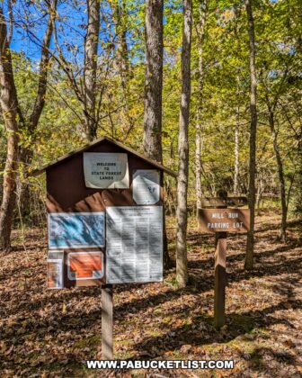 Hiking the Quebec Run Wild Area in Fayette County - PA Bucket List