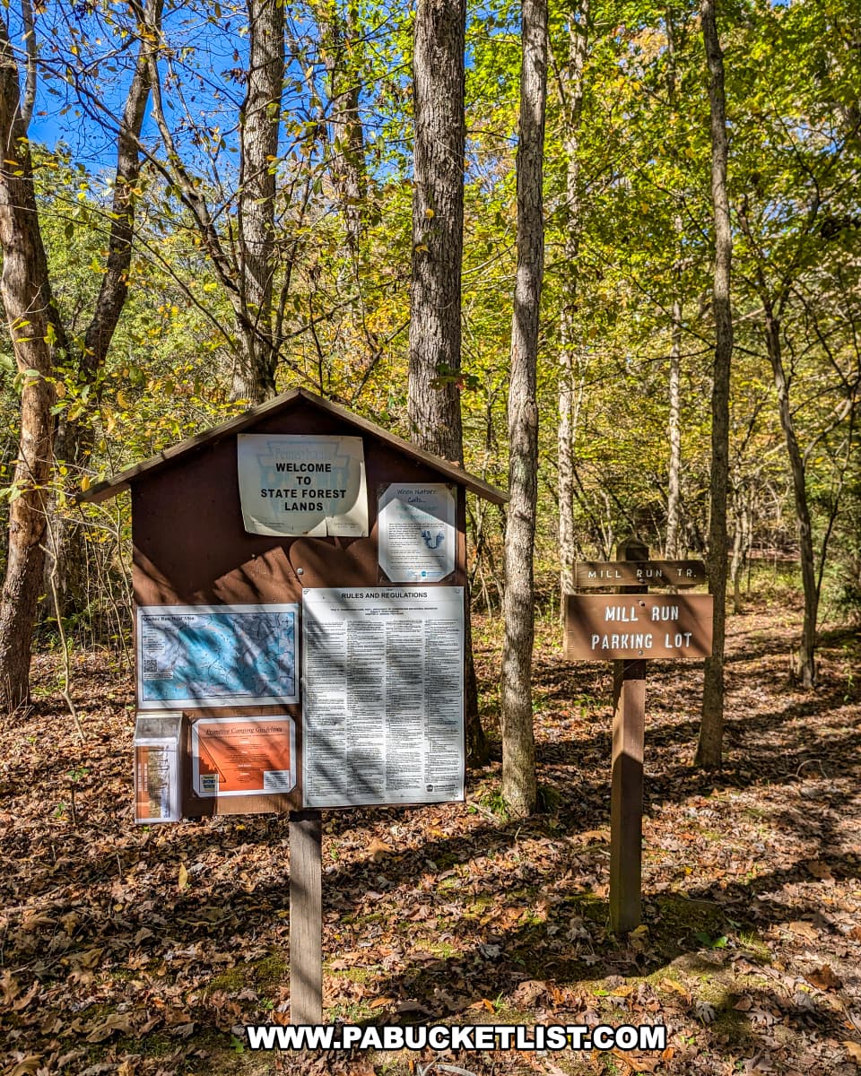 Hiking the Quebec Run Wild Area in Fayette County - PA Bucket List