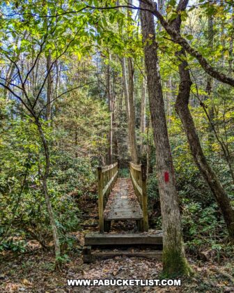 Hiking the Quebec Run Wild Area in Fayette County - PA Bucket List