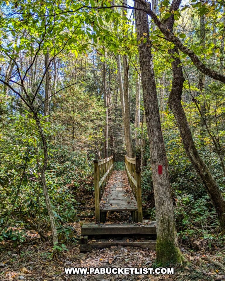 Hiking the Quebec Run Wild Area in Fayette County - PA Bucket List