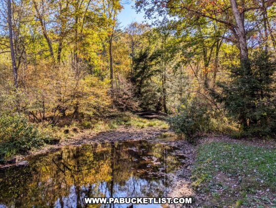 Hiking the Quebec Run Wild Area in Fayette County - PA Bucket List