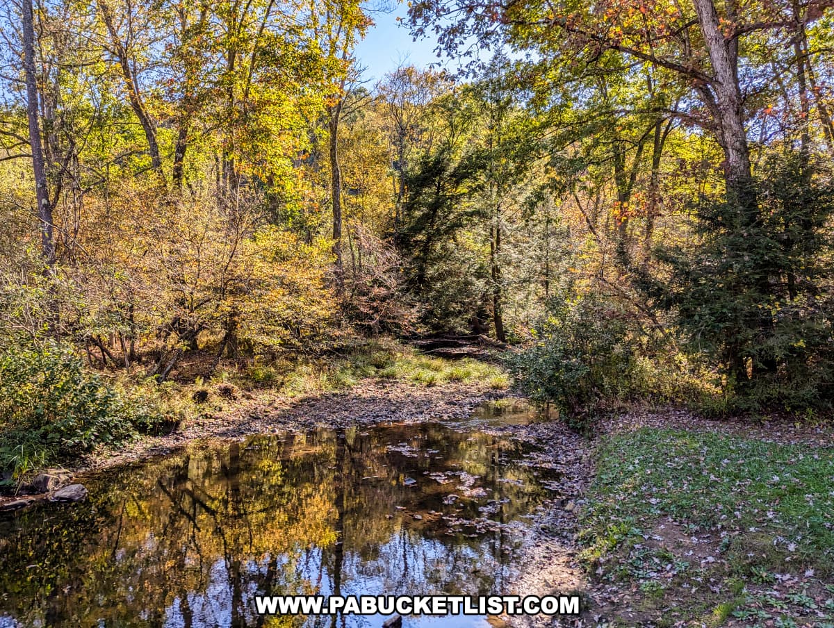 Hiking the Quebec Run Wild Area in Fayette County - PA Bucket List