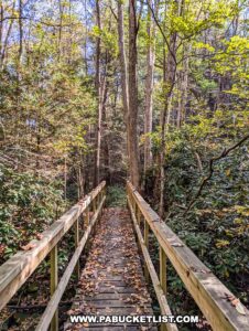 Hiking the Quebec Run Wild Area in Fayette County - PA Bucket List