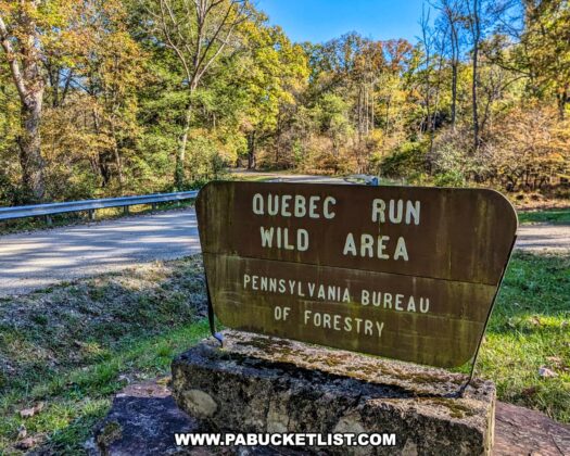 Hiking the Quebec Run Wild Area in Fayette County - PA Bucket List