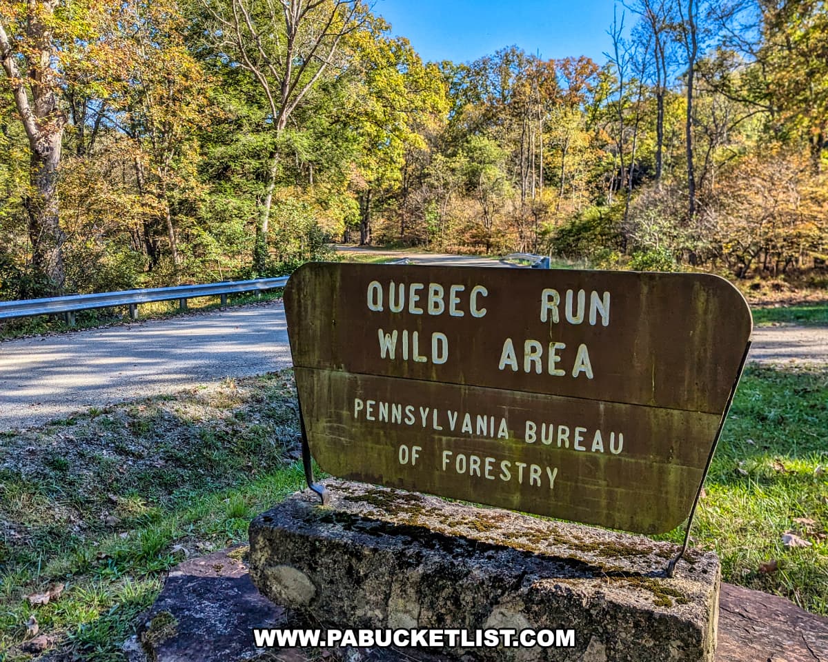 Hiking the Quebec Run Wild Area in Fayette County - PA Bucket List