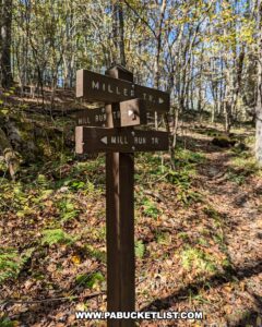 Hiking the Quebec Run Wild Area in Fayette County - PA Bucket List