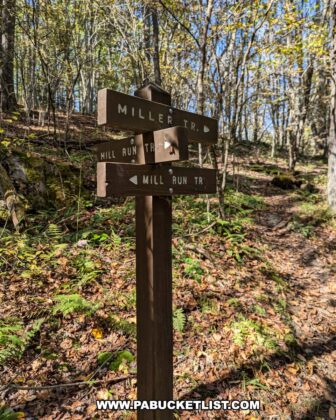 Hiking the Quebec Run Wild Area in Fayette County - PA Bucket List