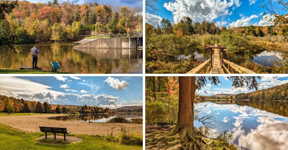 Exploring Chapman State Park in Warren County - PA Bucket List