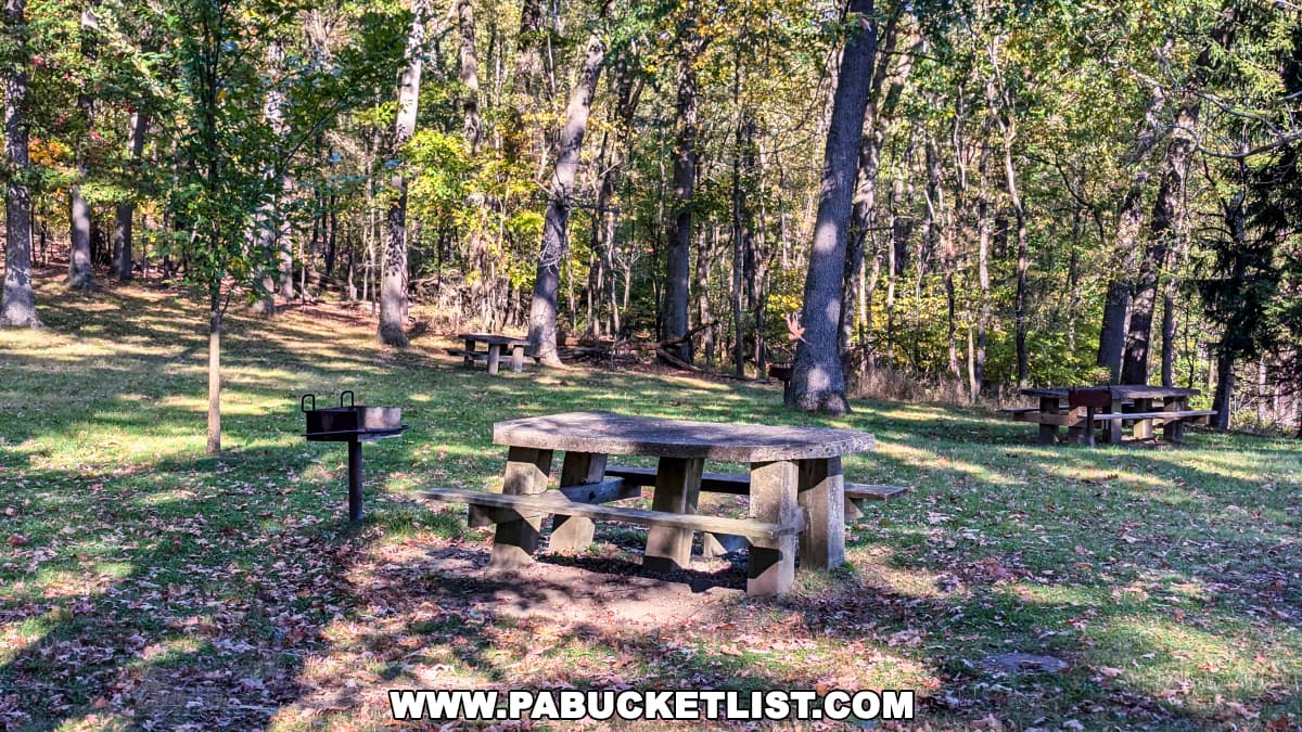 Exploring Washington Park Overlook in Warren County - PA Bucket List