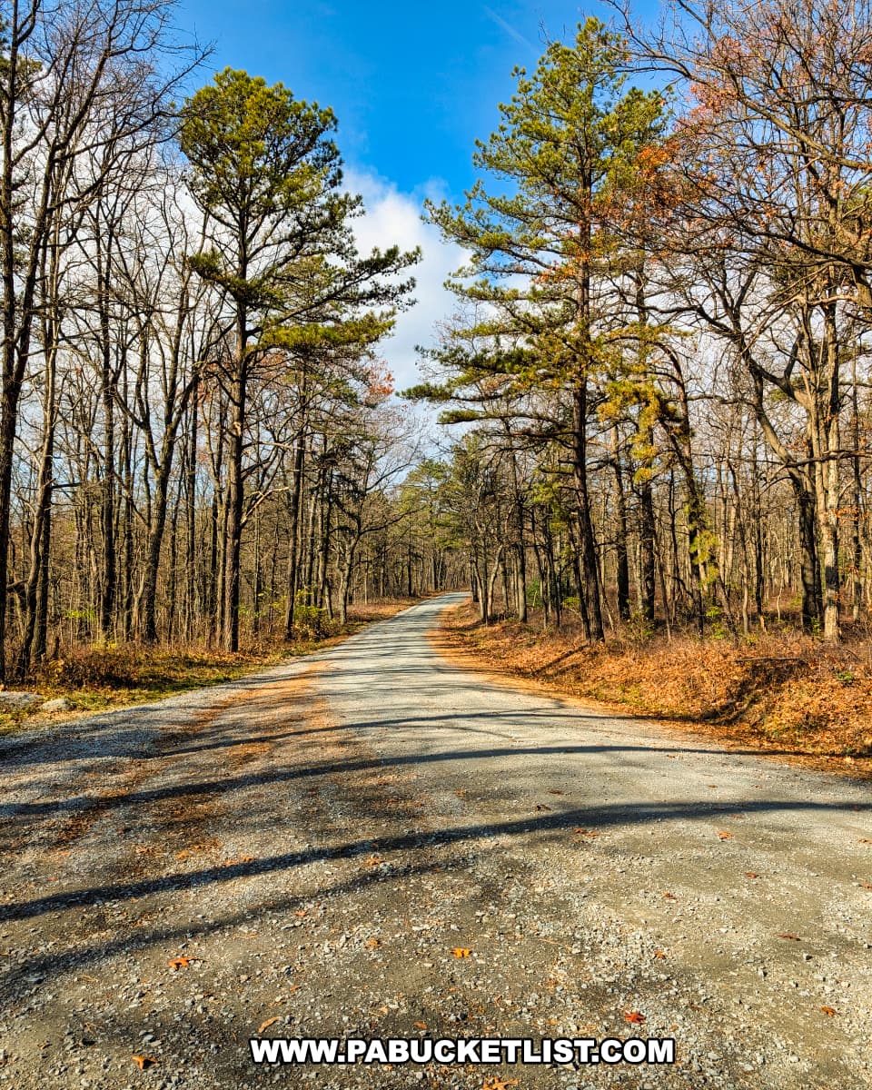 Exploring Hammonds Rocks in Cumberland County - PA Bucket List