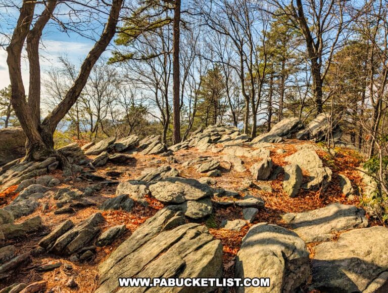 Exploring Hammonds Rocks in Cumberland County - PA Bucket List