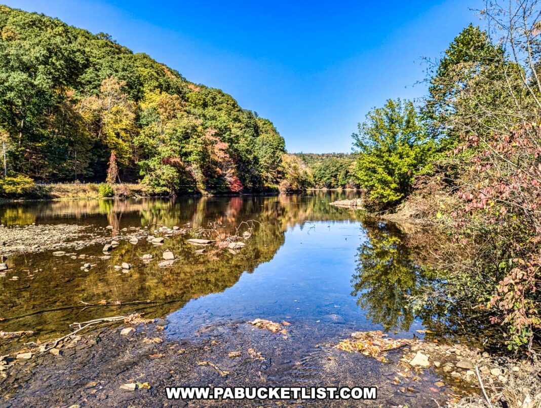 Exploring Clear Creek State Park in Jefferson County - PA Bucket List