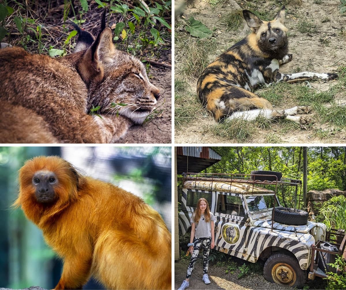 13 Must-See Attractions in Erie County - PA Bucket List