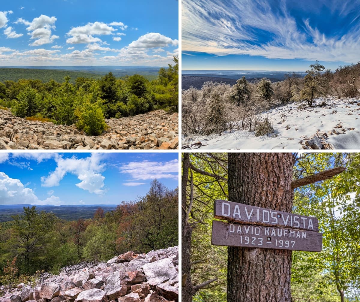 19 Must-See Attractions in the Rothrock State Forest - PA Bucket List