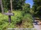 19 Must-See Attractions in the Rothrock State Forest - PA Bucket List