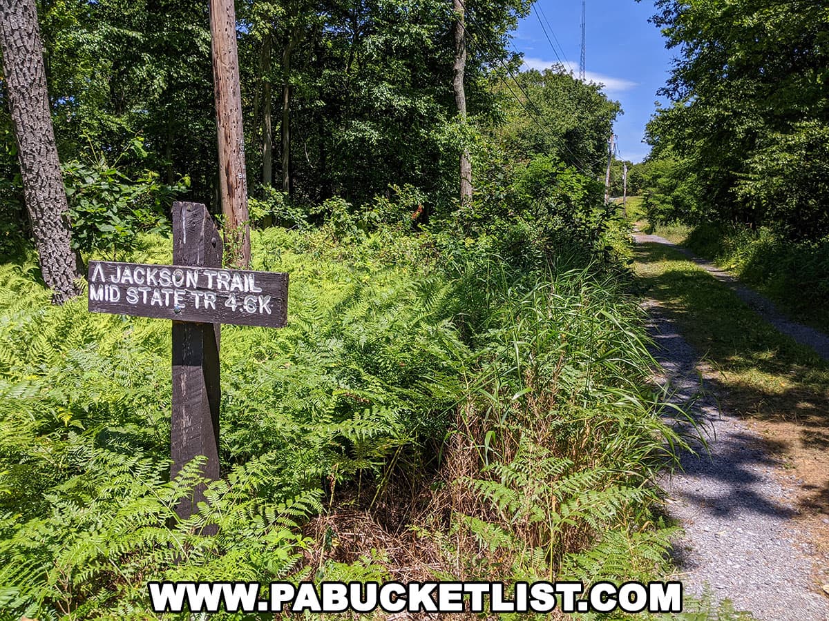 19 Must-See Attractions in the Rothrock State Forest - PA Bucket List