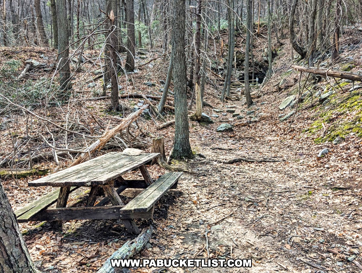 Exploring an Abandoned Railroad Tunnel in Perry County - PA Bucket List