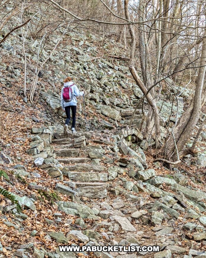 Hiking the Hawk Rock - Eagles Edge Loop in Perry County - PA Bucket List