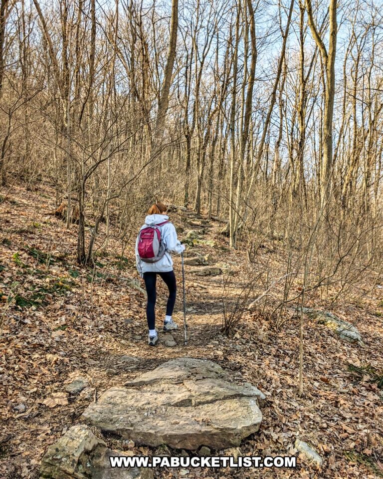 Hiking the Hawk Rock - Eagles Edge Loop in Perry County - PA Bucket List