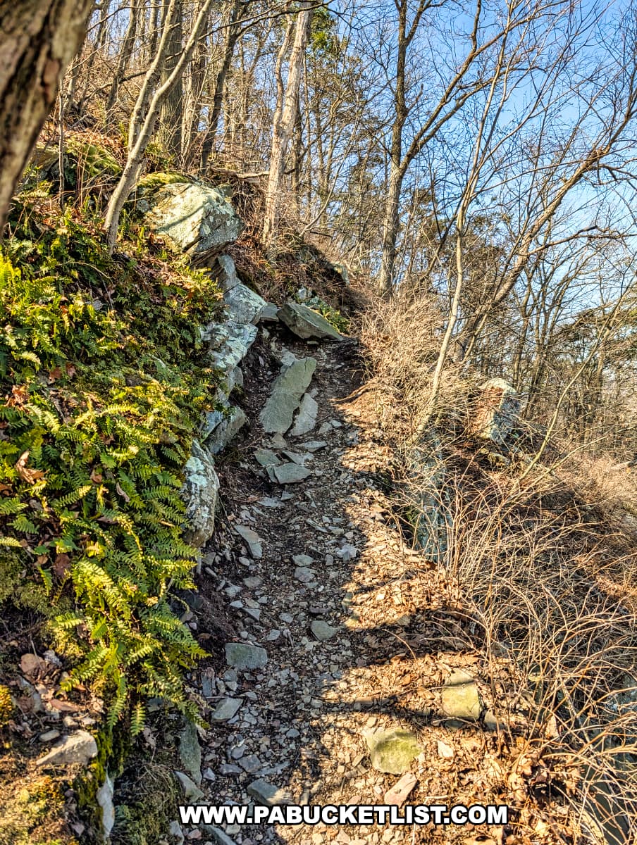 Hiking the Hawk Rock - Eagles Edge Loop in Perry County - PA Bucket List