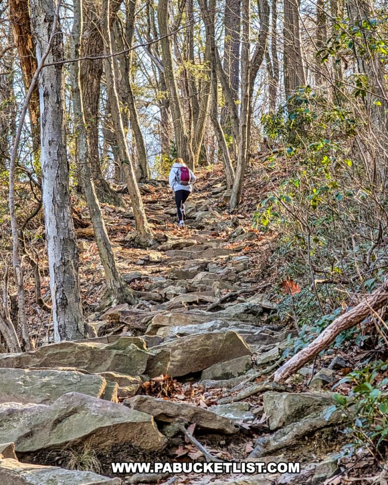 Hiking the Hawk Rock - Eagles Edge Loop in Perry County - PA Bucket List