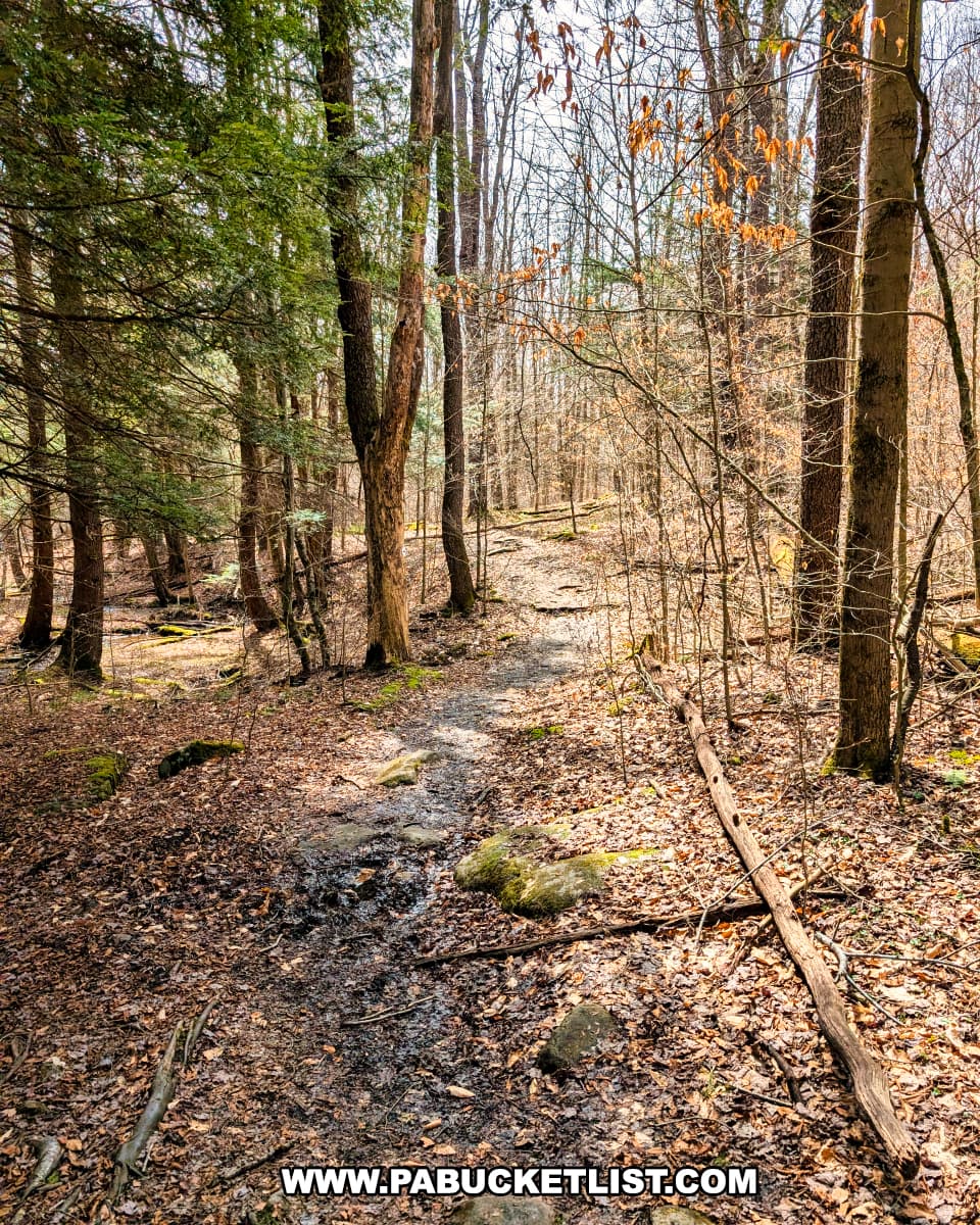 Exploring Hector Falls in Warren County - PA Bucket List