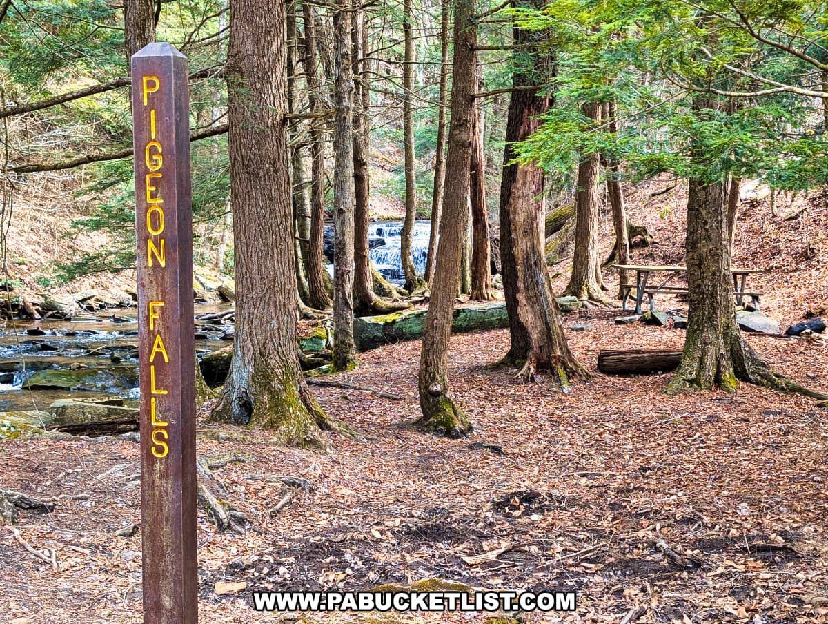 Exploring Pigeon Falls in Forest County - PA Bucket List