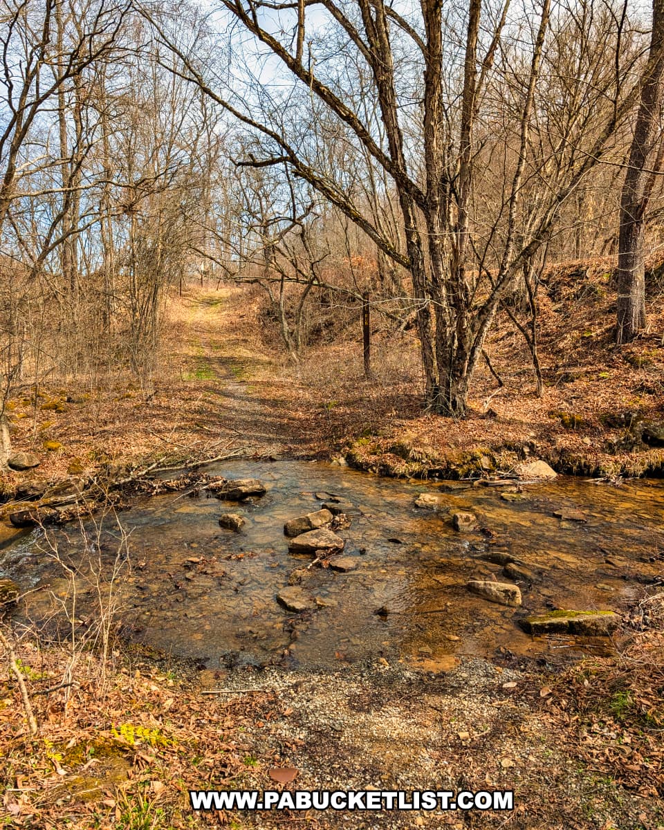 Exploring Pigeon Falls in Forest County - PA Bucket List