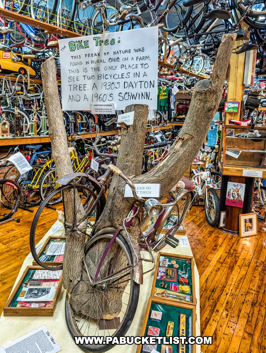 Exploring Bicycle Heaven in Pittsburgh - PA Bucket List