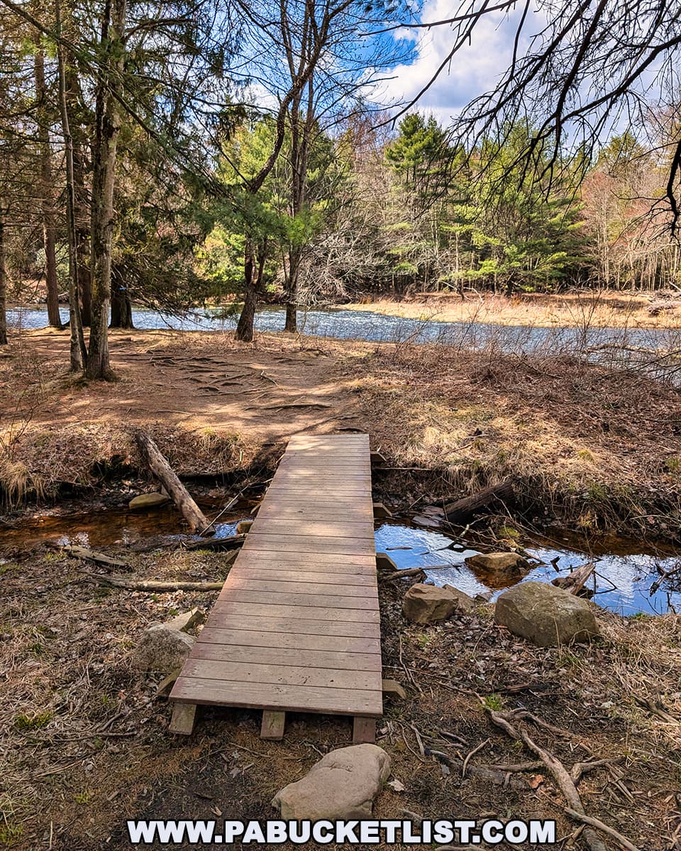 Exploring Tobyhanna Falls in Monroe County